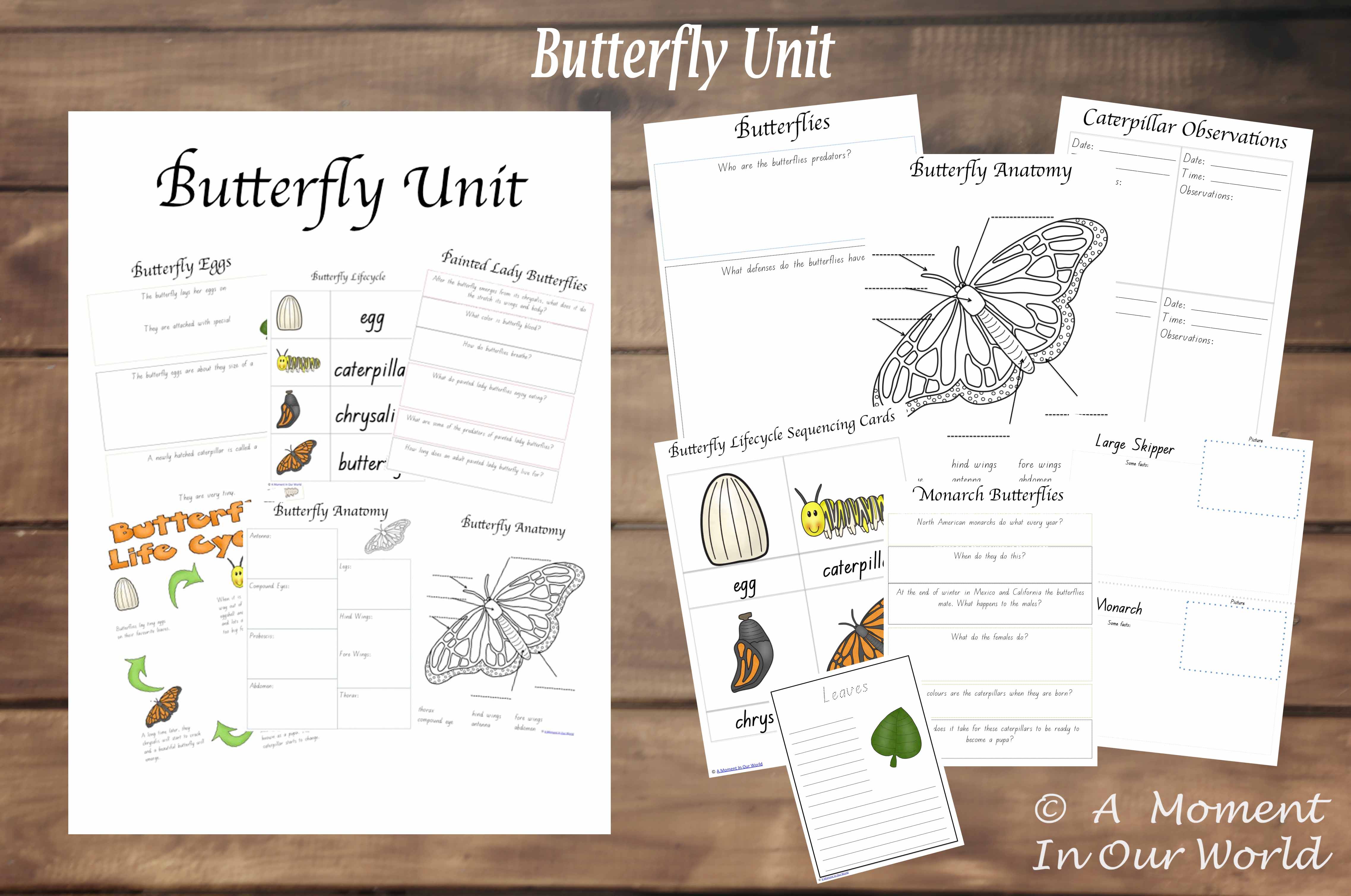 African Safari ~ Tots to Prep Pack | Teach In A Box